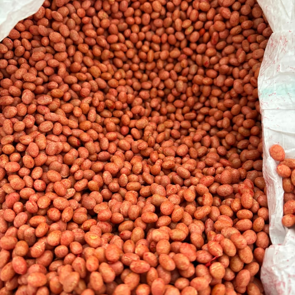 Soybean plant growth stages: Understand to optimize yields