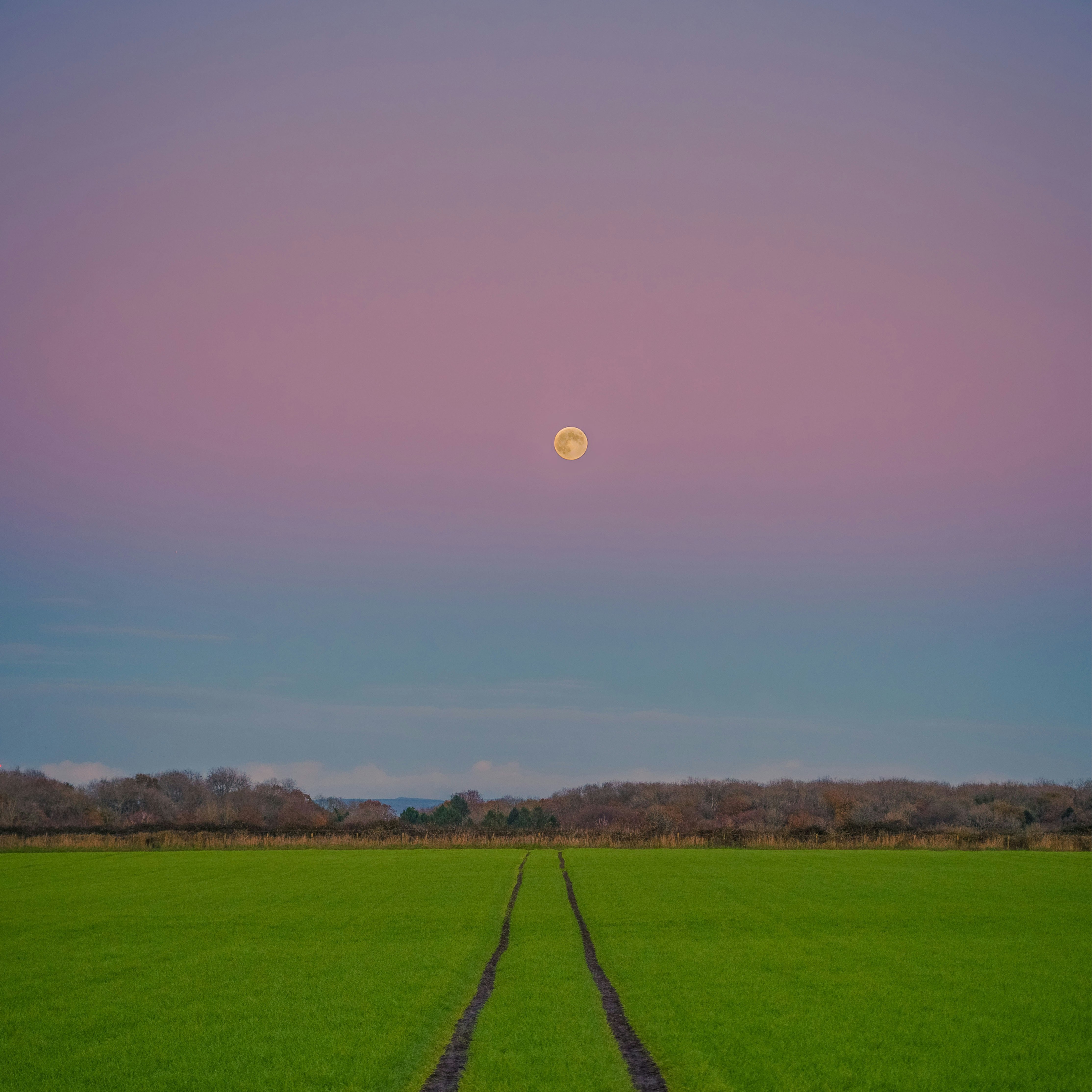 Science publications on plant nutrient delivery system - Arevo